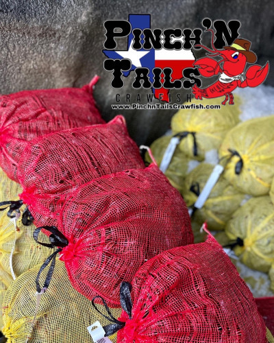 Wholesale Shellfish, Gator & Fixins | Pinch’n Tails Crawfish
